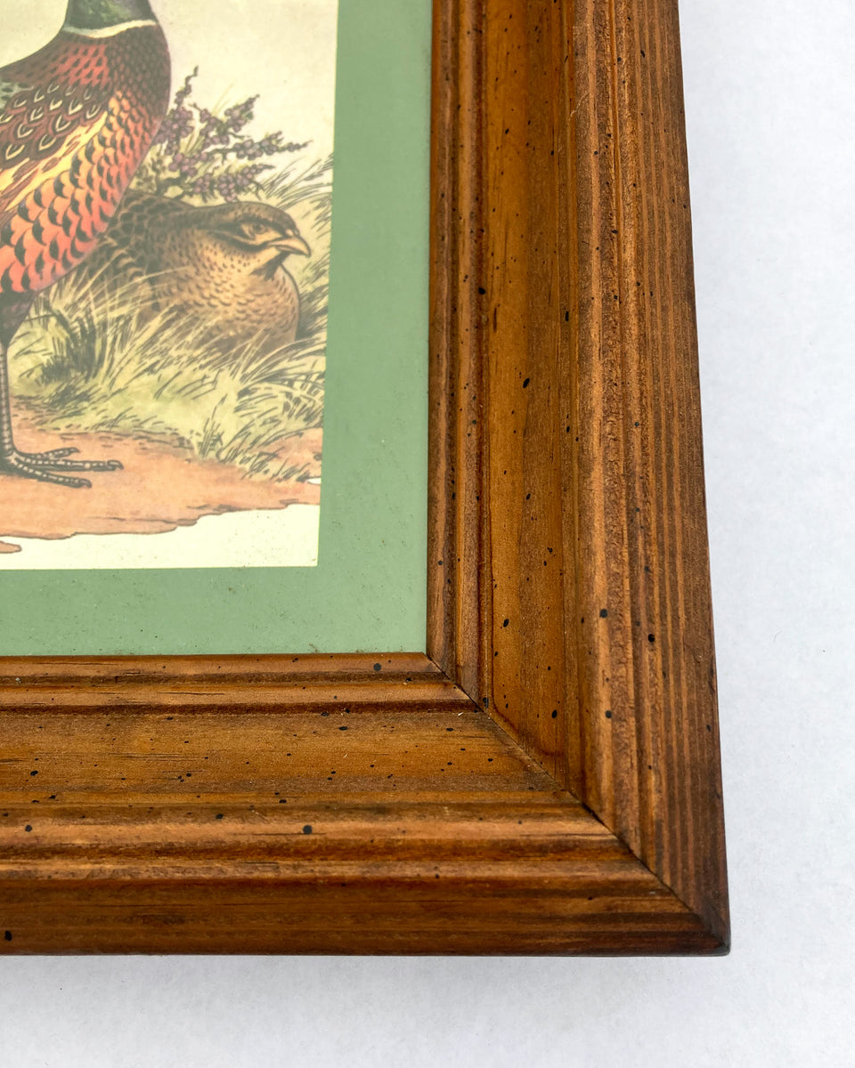 Vintage Pheasant Print - Green Border – Shop Anderson Manor